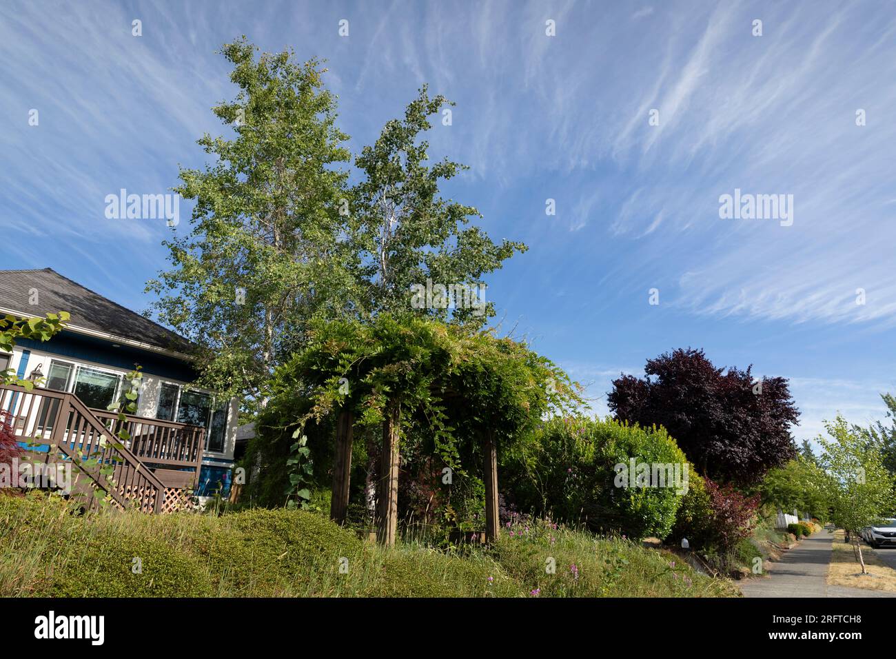 Lush landscaping surrounds homes in Seattle’s affluent North Admiral ...