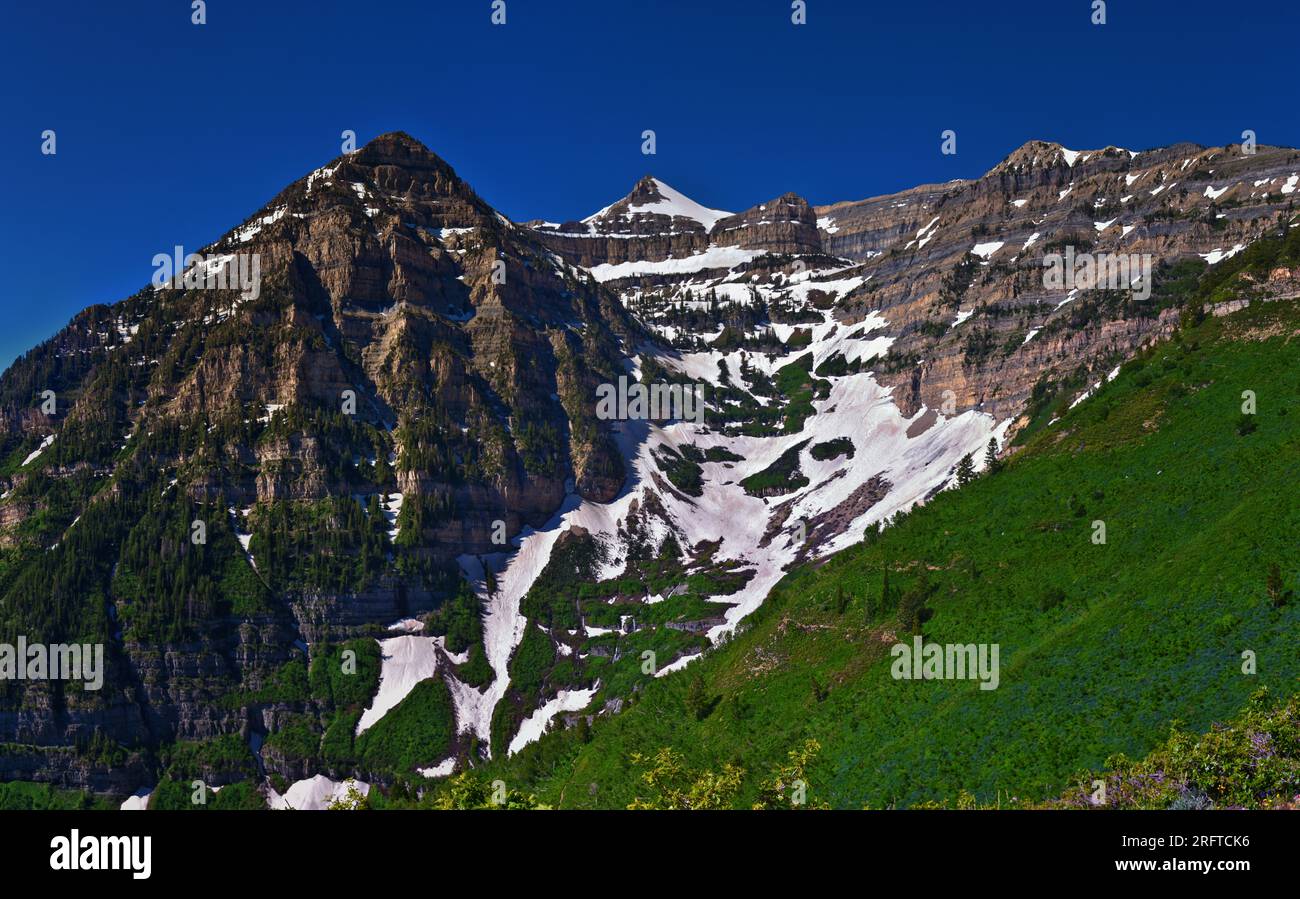 Timpanogos Peak back view hiking Primrose Overlook Horse Spring Trail ...