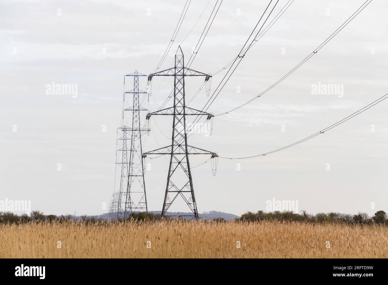 Line of electric pylons into distance above countryside, landscape ...