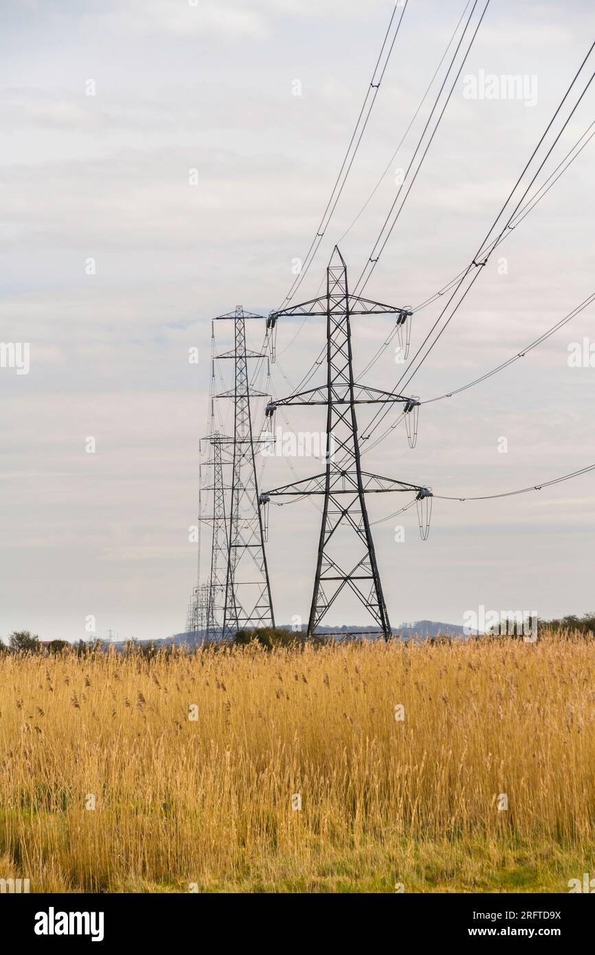 Pylons portrait hi-res stock photography and images - Alamy