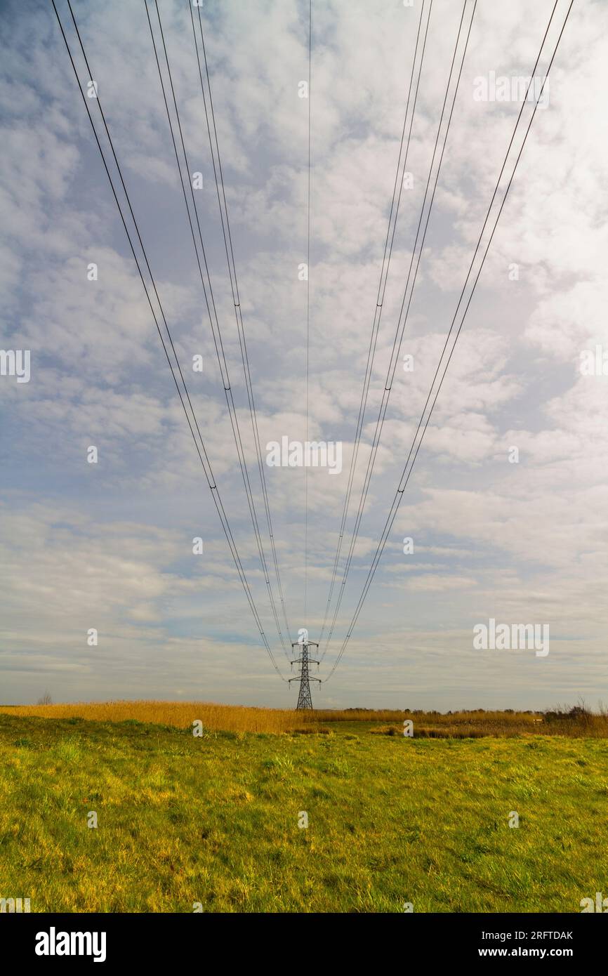 Pylons portrait hi-res stock photography and images - Alamy