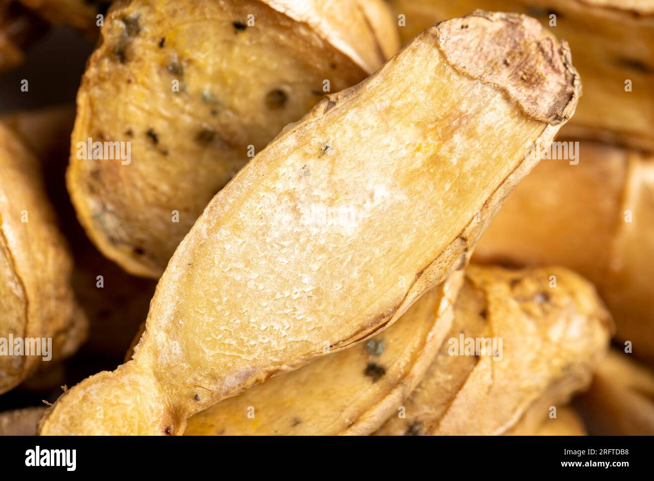 Spoiled and covered with mold sliced ginger, spices spoiled food ...