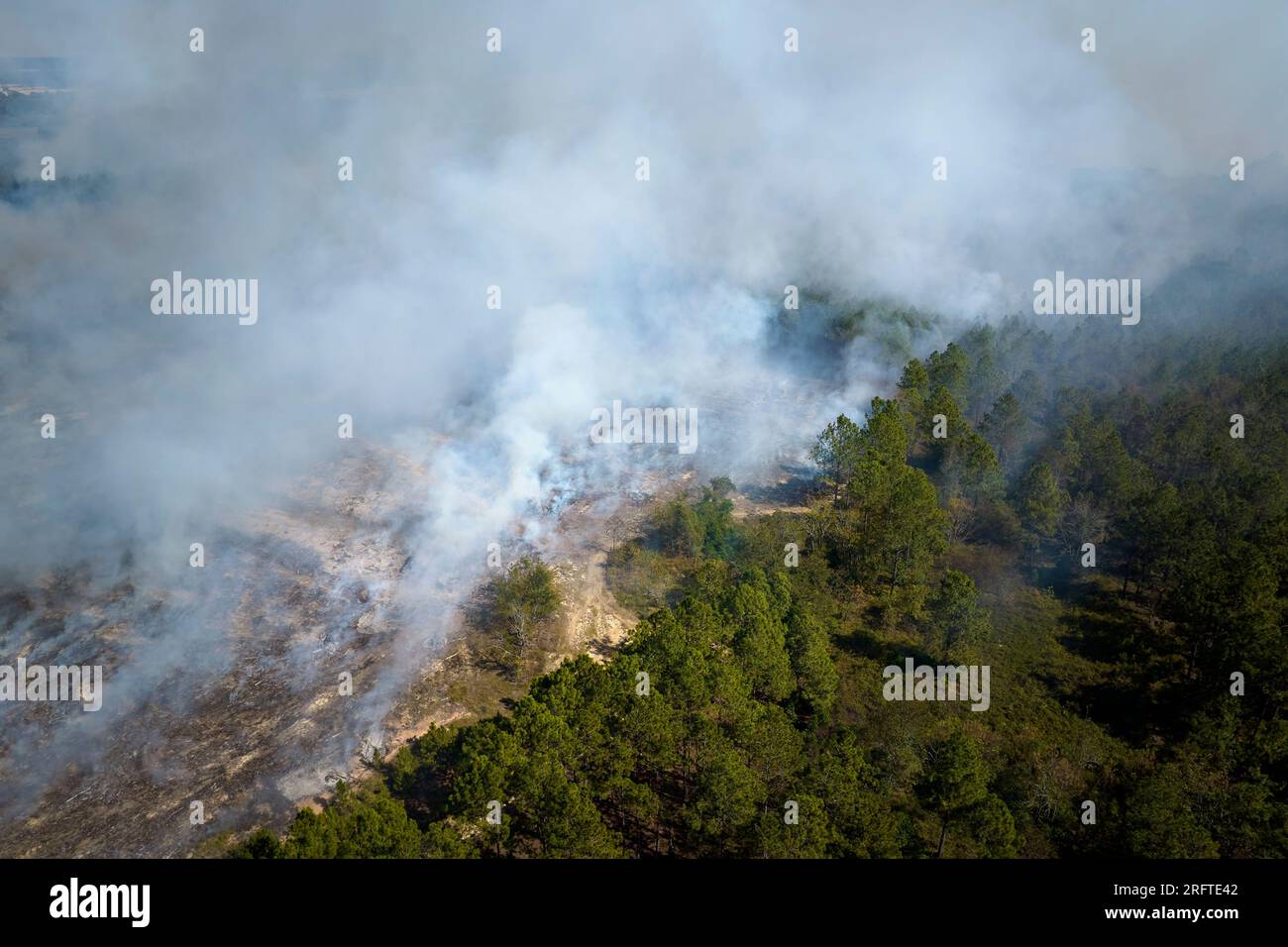 Aerial view of white smoke from forest fire rising up polluting ...