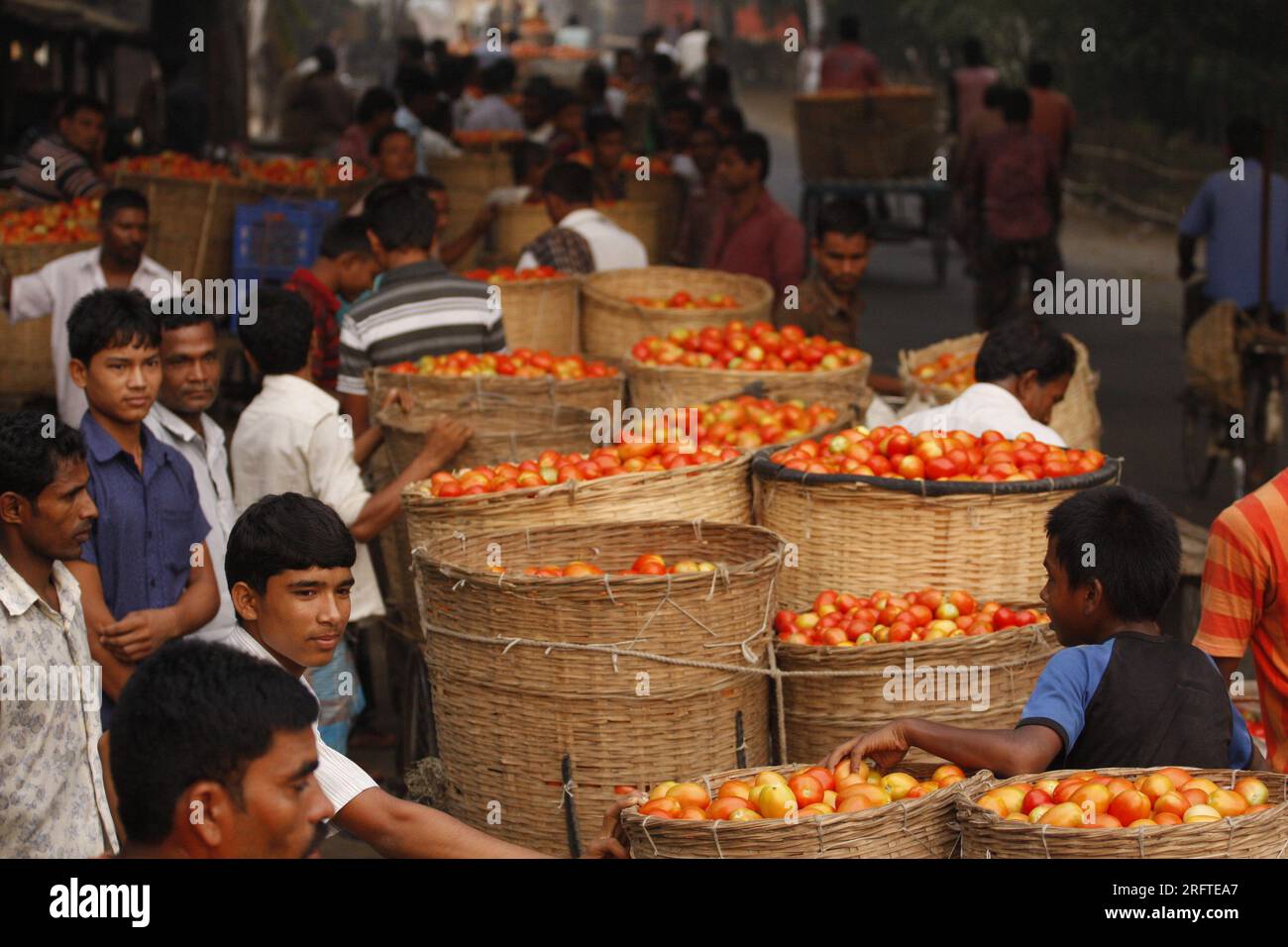 Tomato production in Bangladesh making it the fourth most produced ...