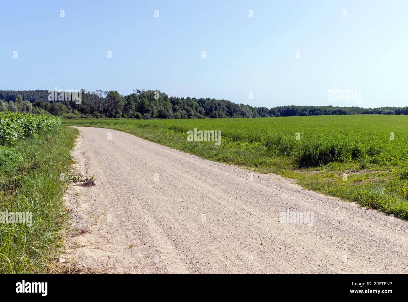 Dirt road in the field , dirt road for traffic through the territory of ...