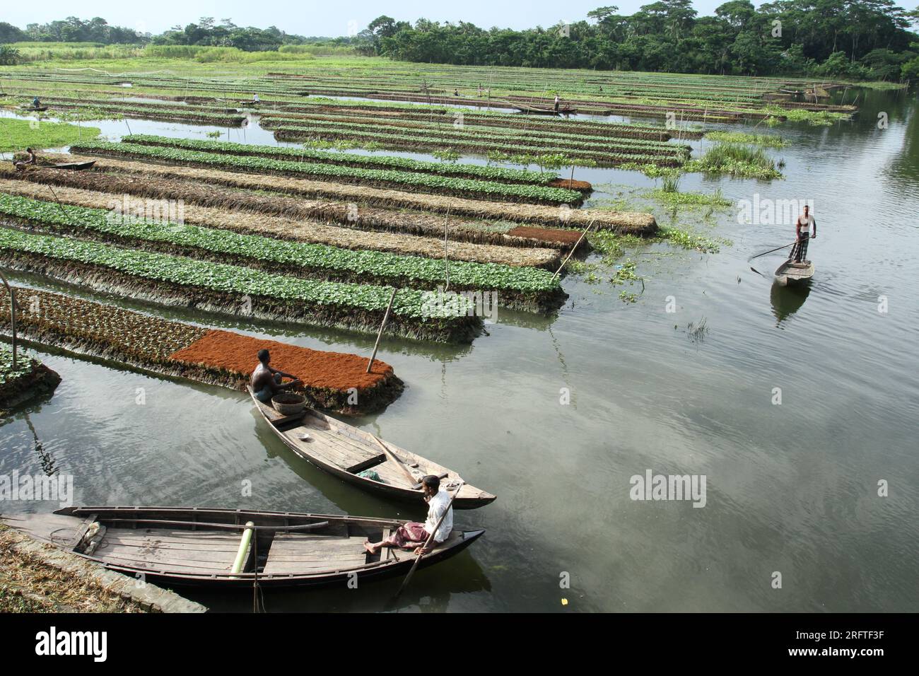 Floating agriculture is a traditional agricultural practice of ...