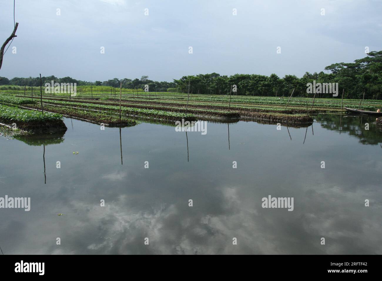Floating agriculture is a traditional agricultural practice of ...