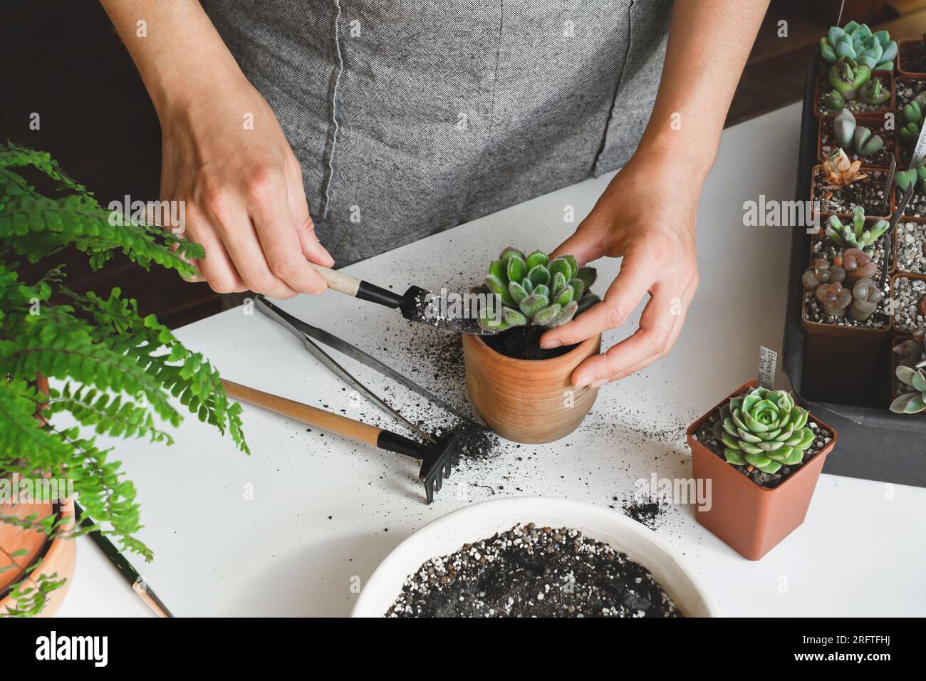Soil granules hi-res stock photography and images - Alamy