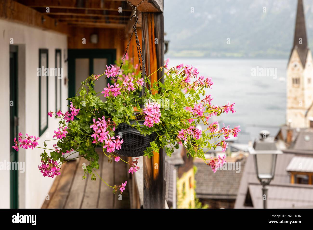 Window flowers in hallstatt hi-res stock photography and images - Alamy