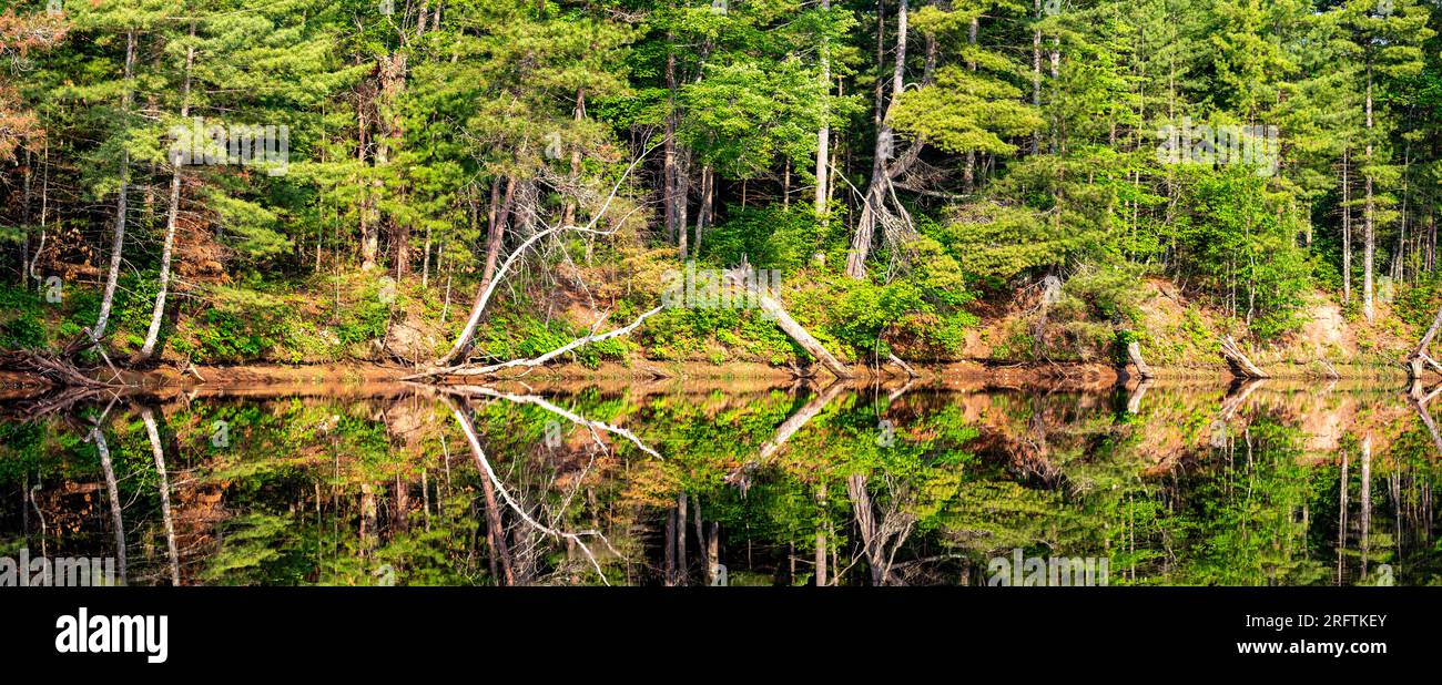 Reflection of trees in the calm water of the Rainbow Flowage in ...