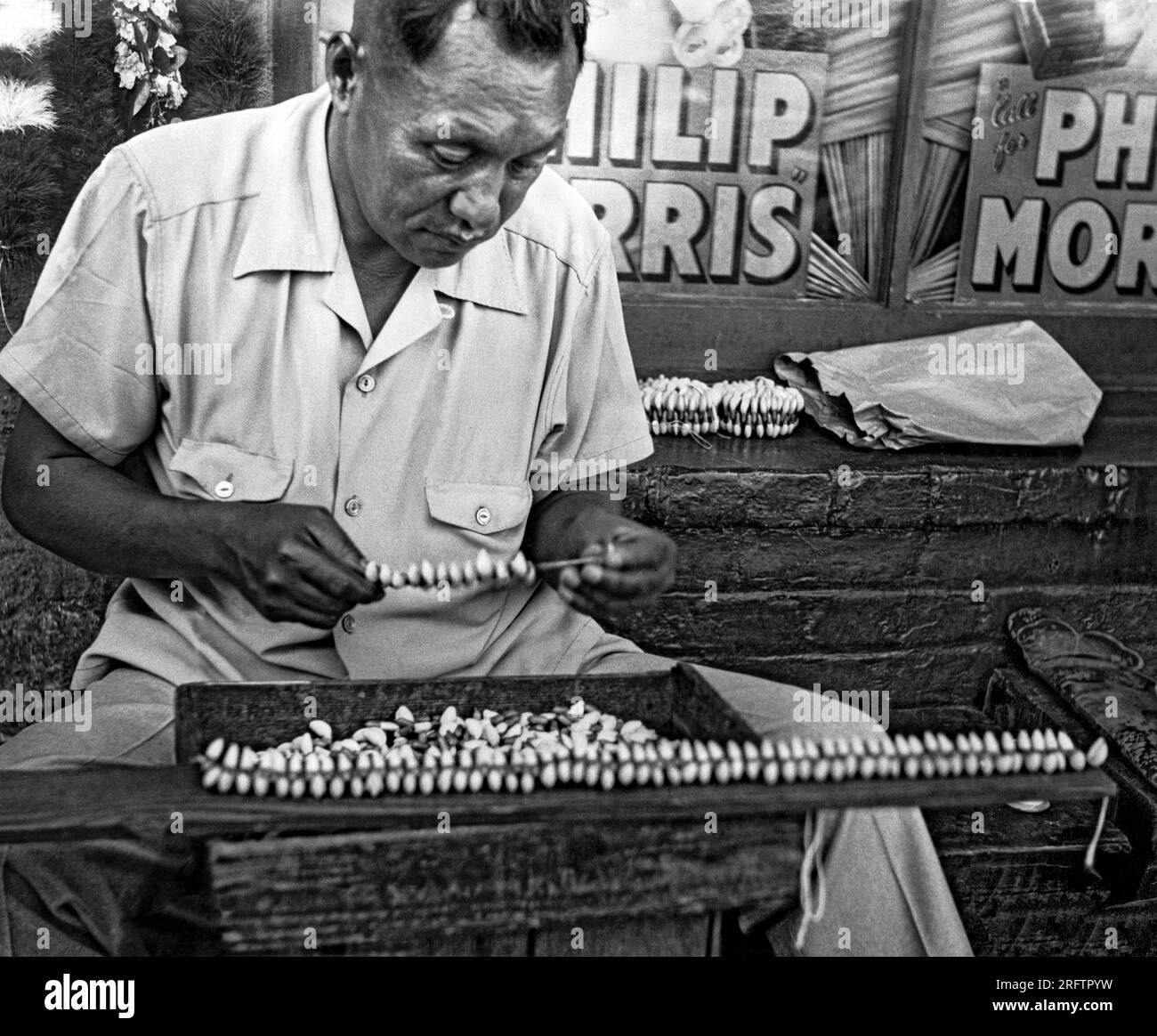 Hawaii, c. 1948 A Hawaiian man stringing puka shell necklaces Stock ...