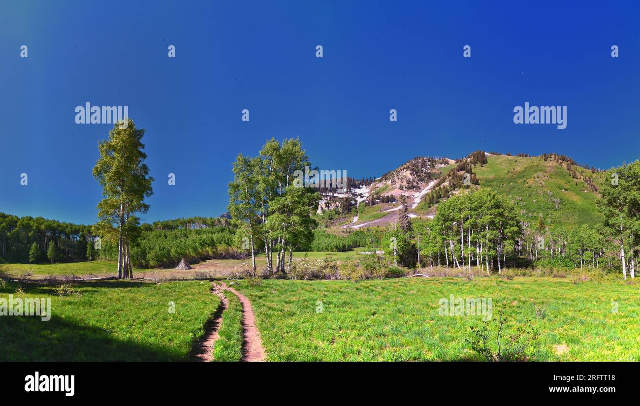 Wasatch Mountain landscape from Primrose Overlook Horse Spring hiking ...