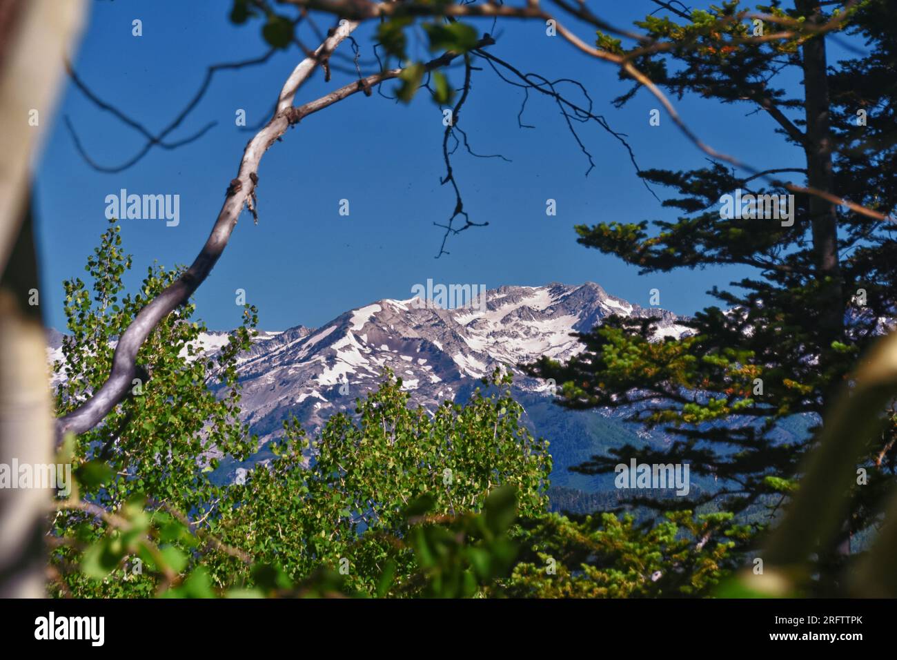 Wasatch Mountain landscape from Primrose Overlook Horse Spring hiking ...