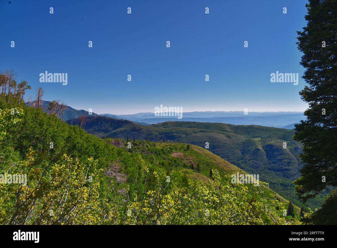 Wasatch Mountain landscape from Primrose Overlook Horse Spring hiking ...
