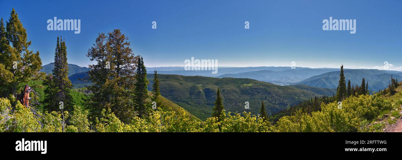 Wasatch Mountain landscape from Primrose Overlook Horse Spring hiking ...