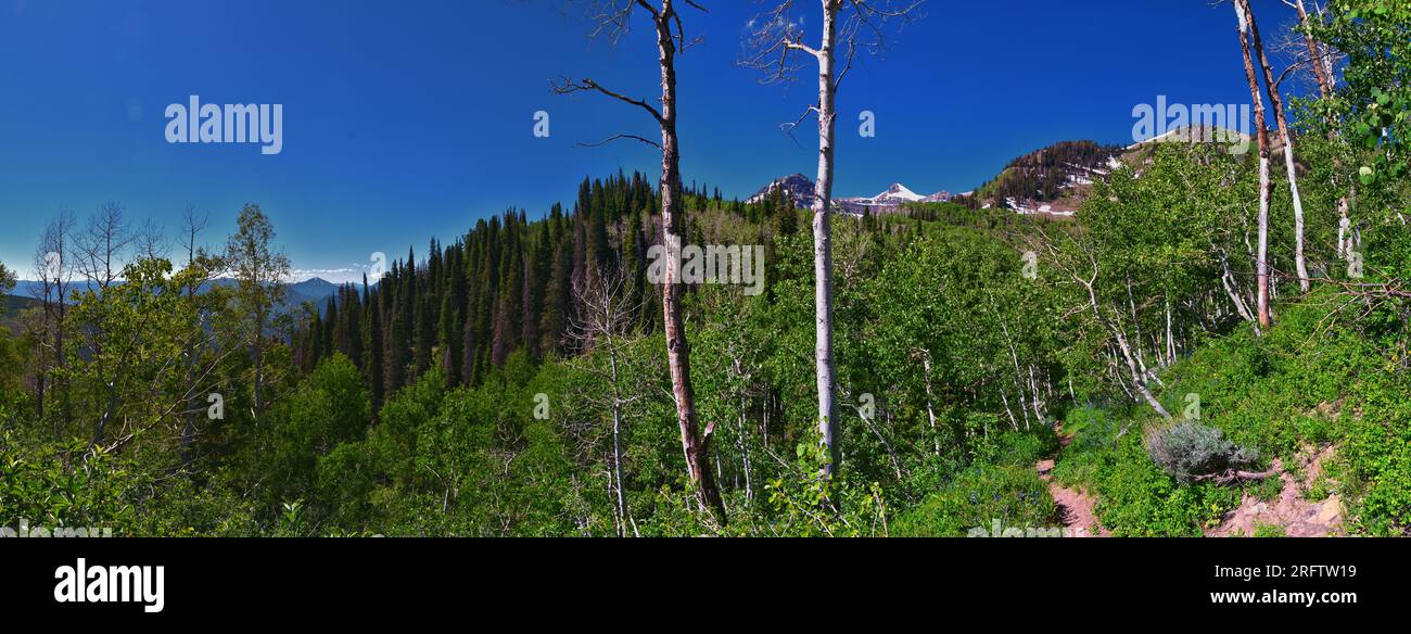 Wasatch Mountain landscape from Primrose Overlook Horse Spring hiking ...