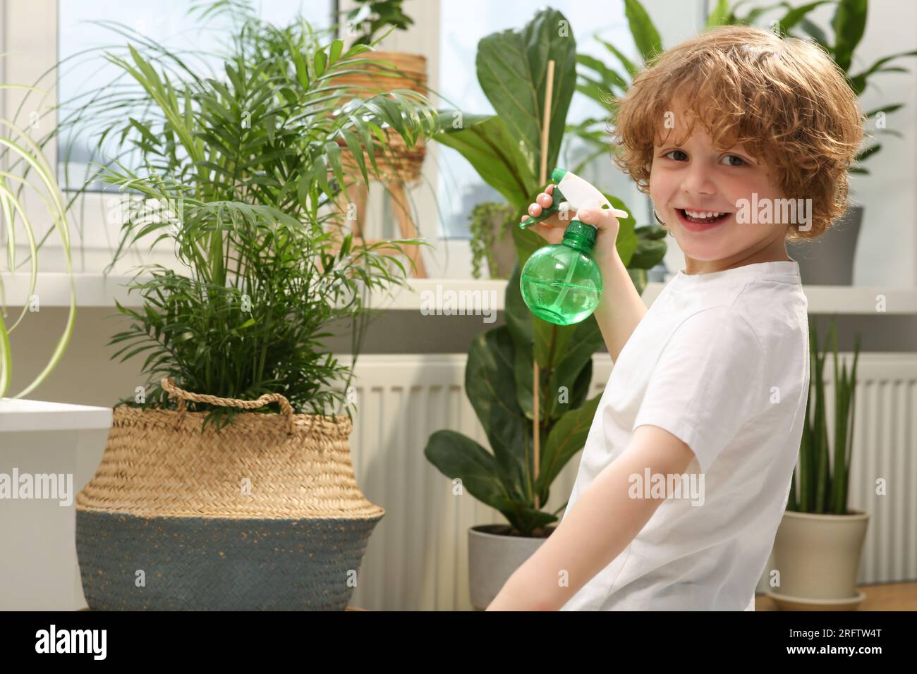 Cute little boy spraying beautiful green plant at home. House decor ...