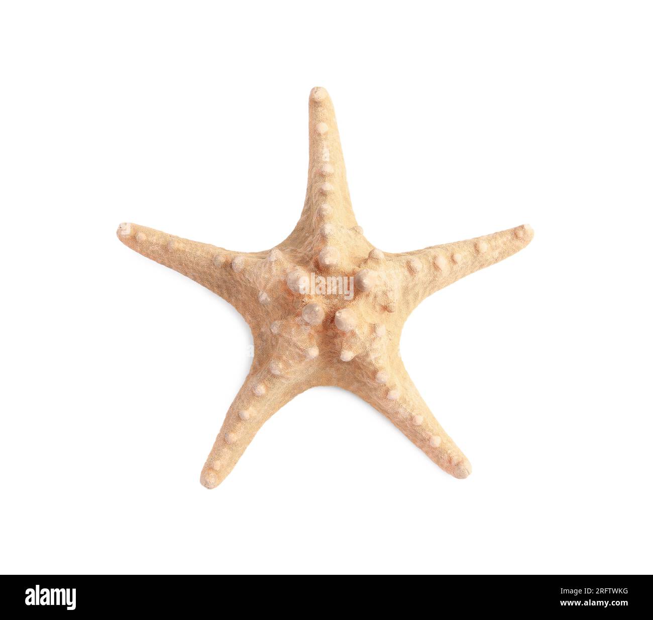 Beautiful sea star (starfish) isolated on white, top view Stock Photo ...