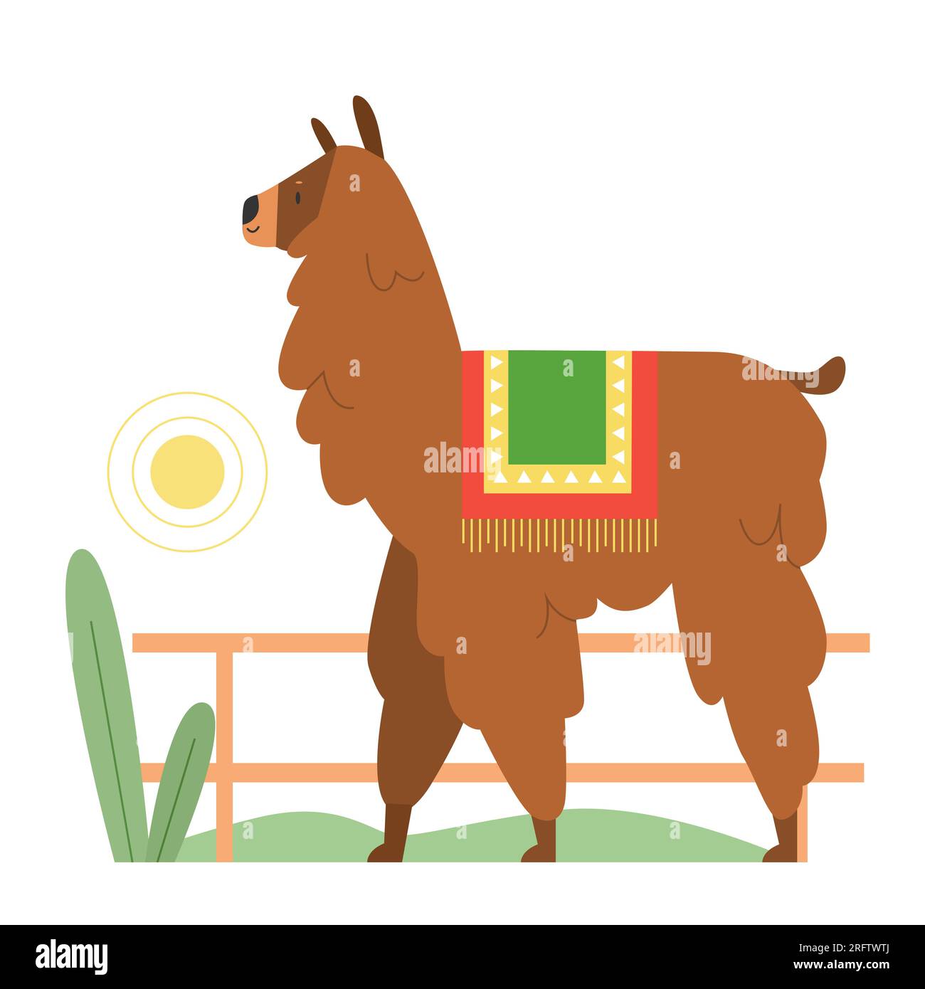 Standing llama alpaca. Mexican animal, llama with traditional ...