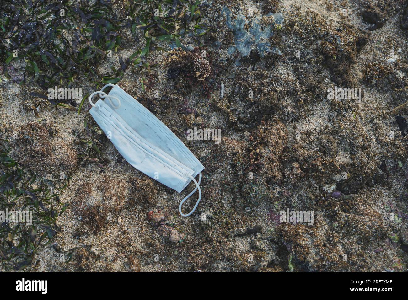 Surgical mask corona sars hi-res stock photography and images - Alamy