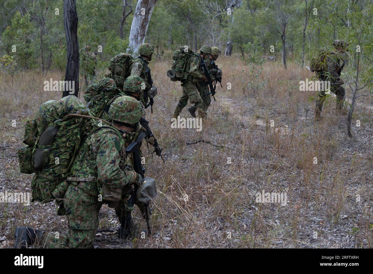 U.S. Marines with Battalion Landing Team 2/1, and soldiers with the ...