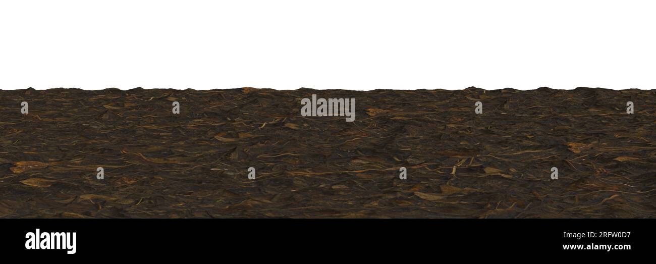 3d illustration of ground surface texture with dry leaves, wet soil ...