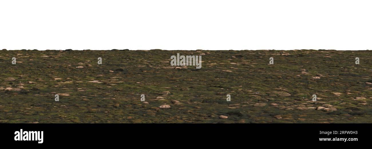 3d illustration of moss covered gravel, ground material perspective ...