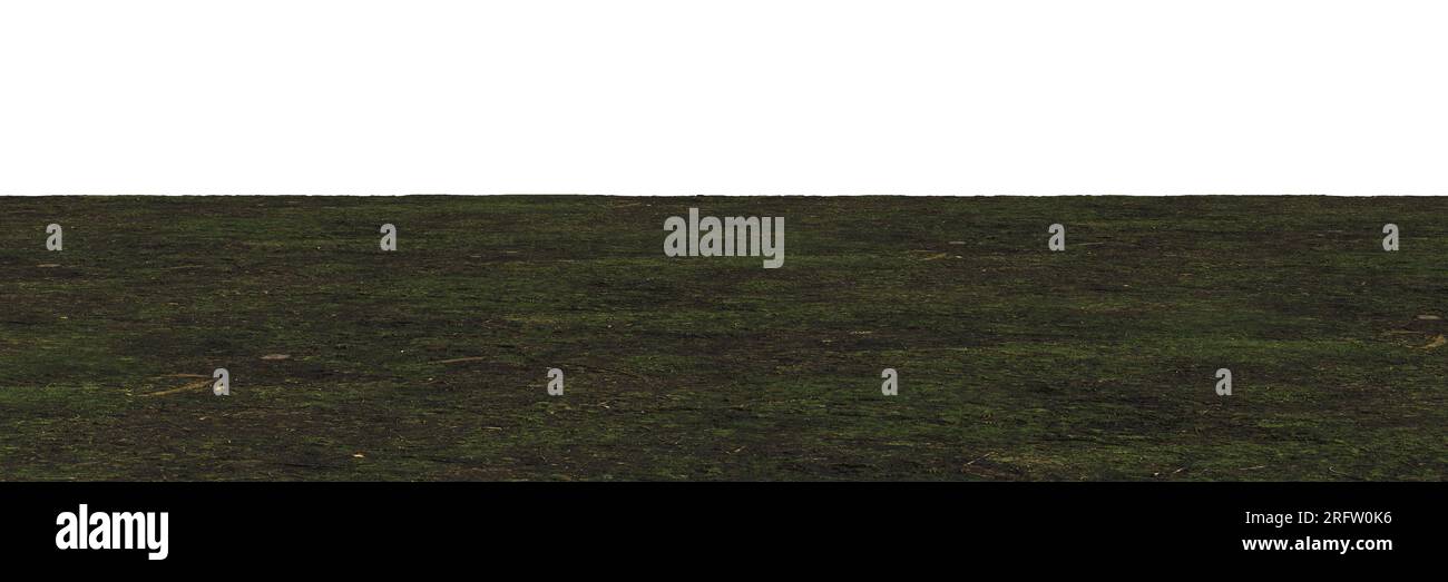 3d illustration grass ground texture, ground material perspective view ...