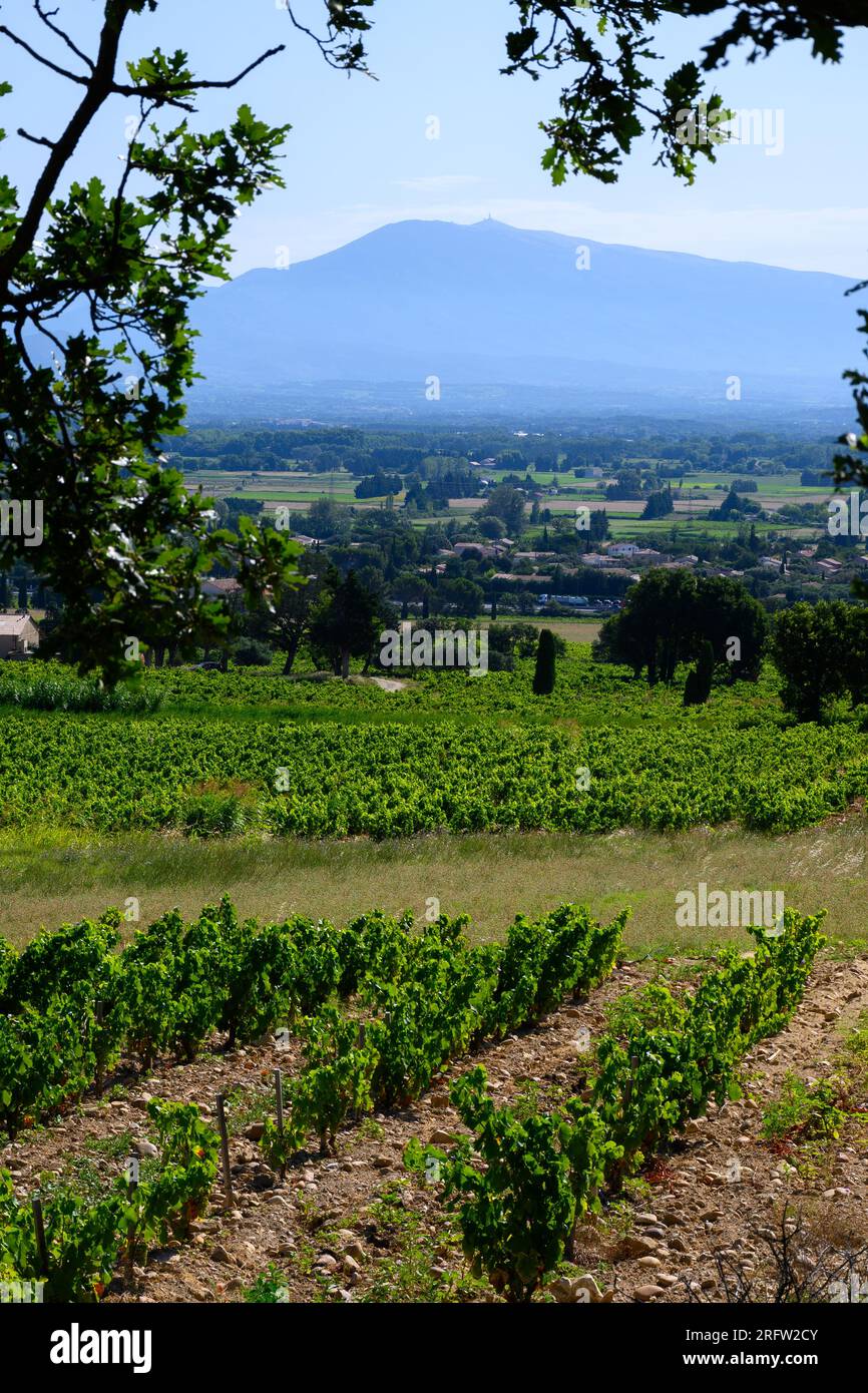 Galets roulés hi-res stock photography and images - Alamy