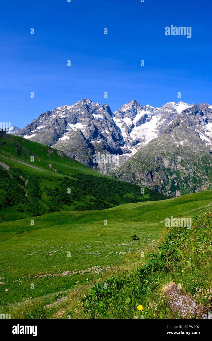 Mountains and green alpine meadows views near Col du Lautaret, Massif ...