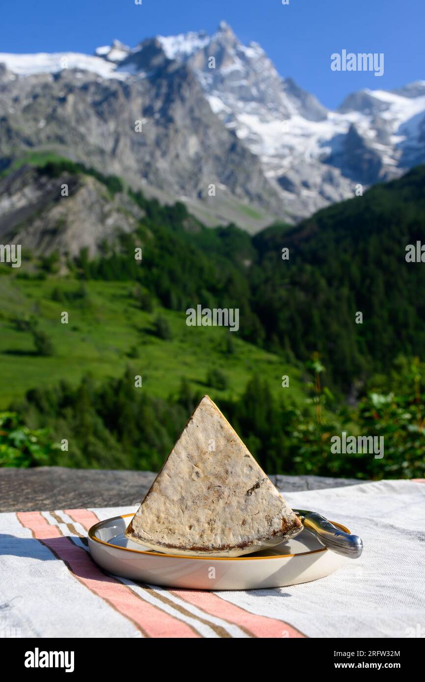 Cheese collection, Tomme de Savoie cheese from Savoy region in French ...