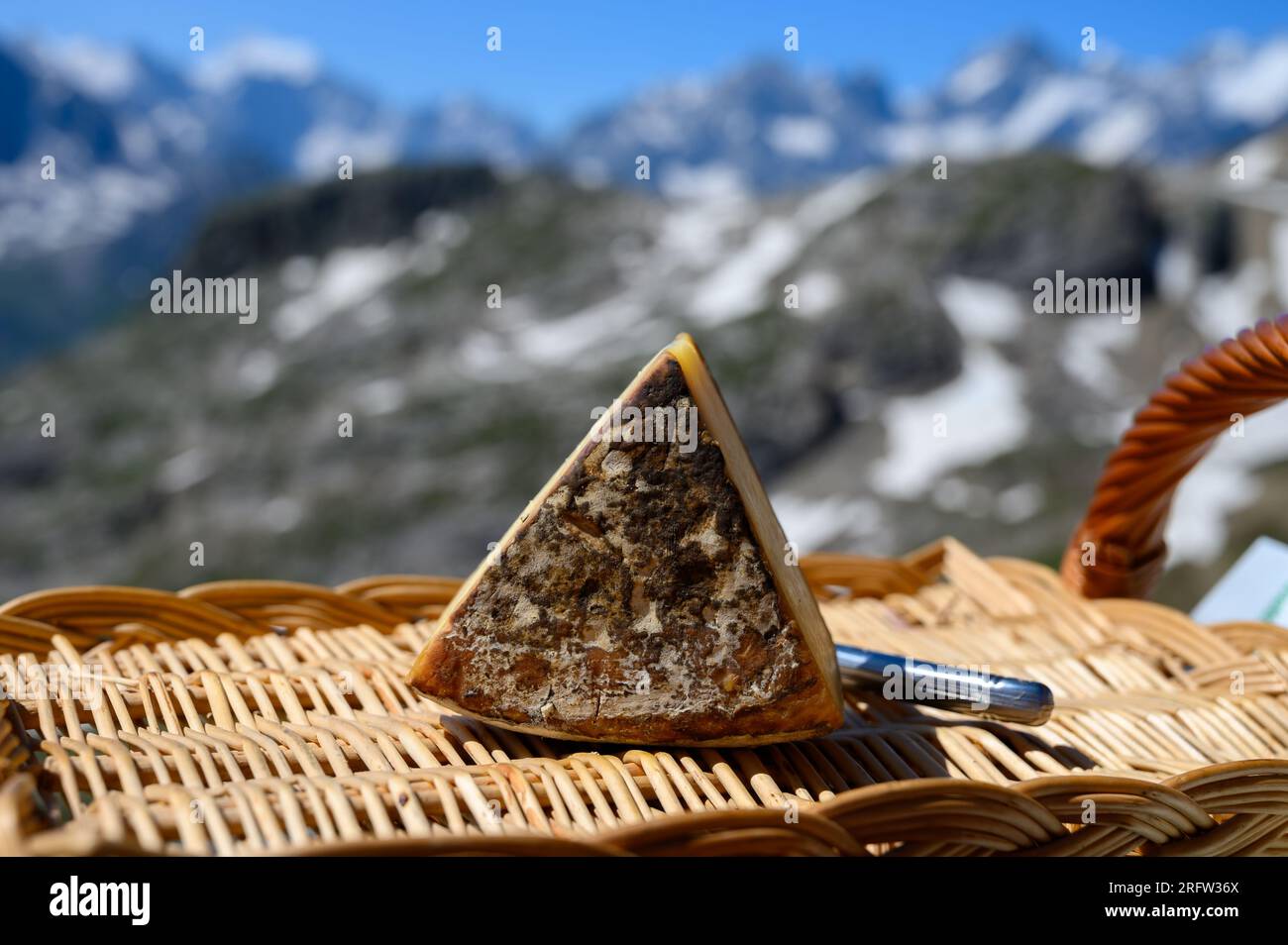 Cheese collection, Tomme de Savoie cheese from Savoy region in French ...