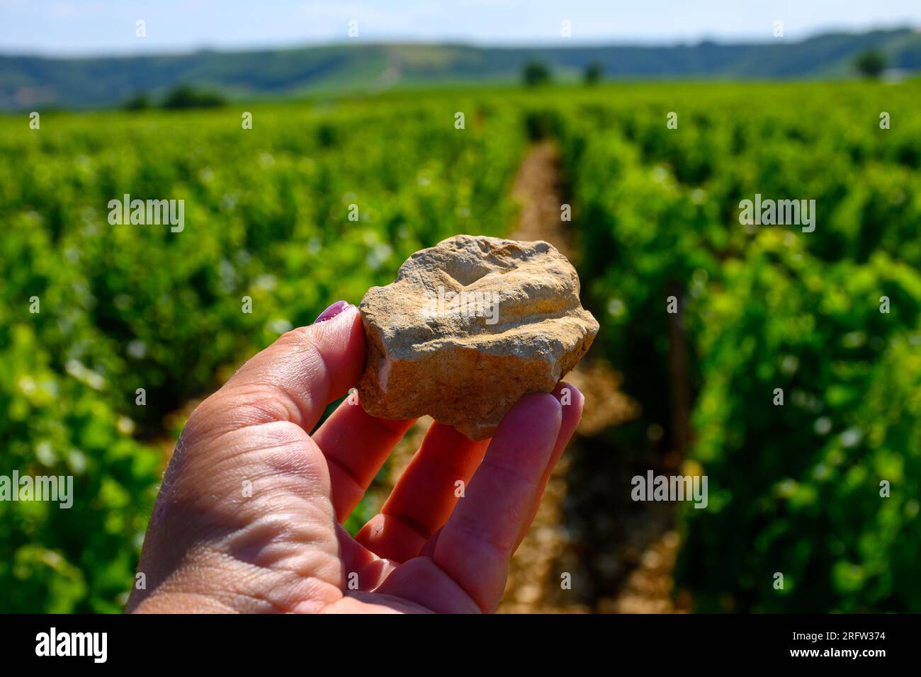 Terres blanches white soils hi-res stock photography and images - Alamy