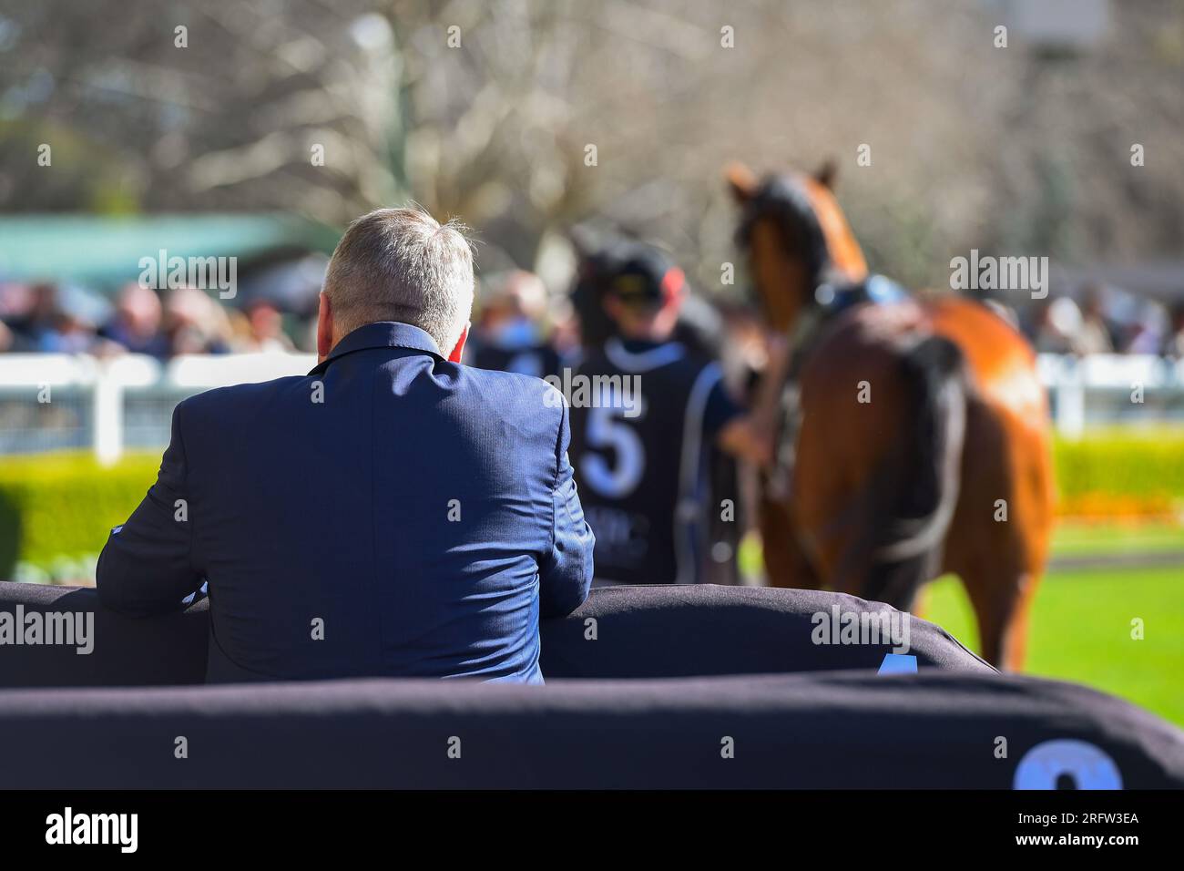 Spectator at the race track watching horses parading in the paddock ...