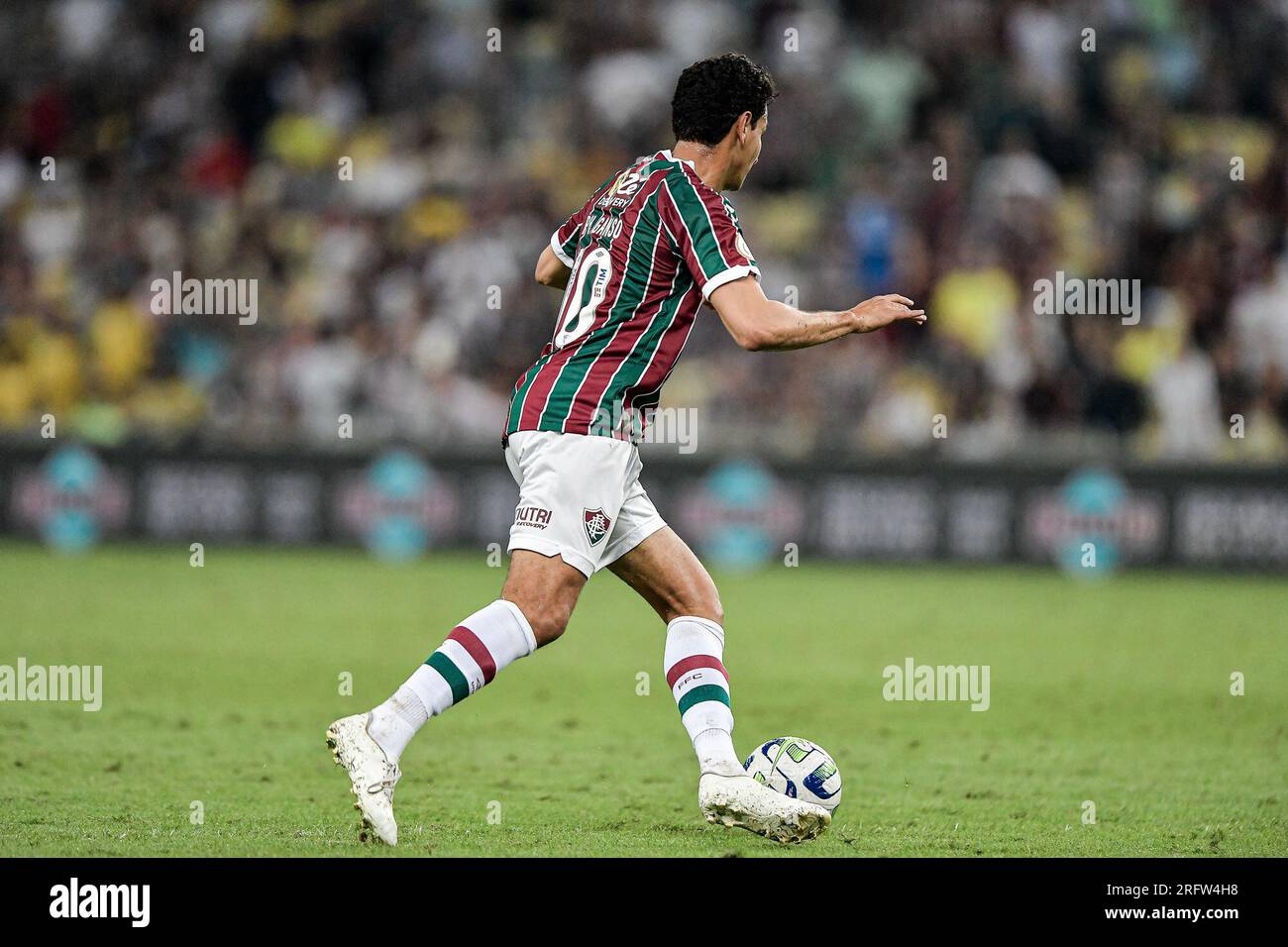 Ganso palmeiras hi-res stock photography and images - Alamy
