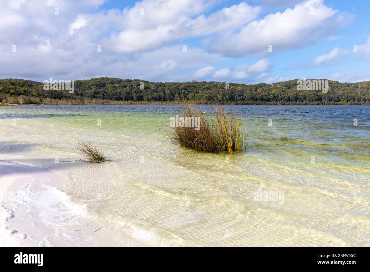 Fraser Island K'gari Lake Birrabeen a perched lake, natural beauty blue ...