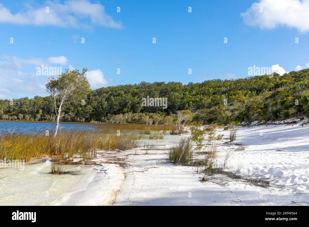 Fraser Island K'gari Lake Birrabeen a perched lake, natural beauty blue ...