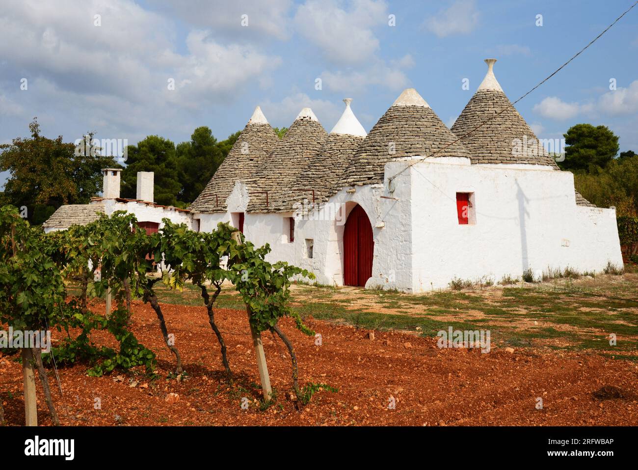 ITALY. PUGLIA. ALBEROBELLO. TRULLO, TYPICAL STONE HOUSE, IN A VINEYARD ...