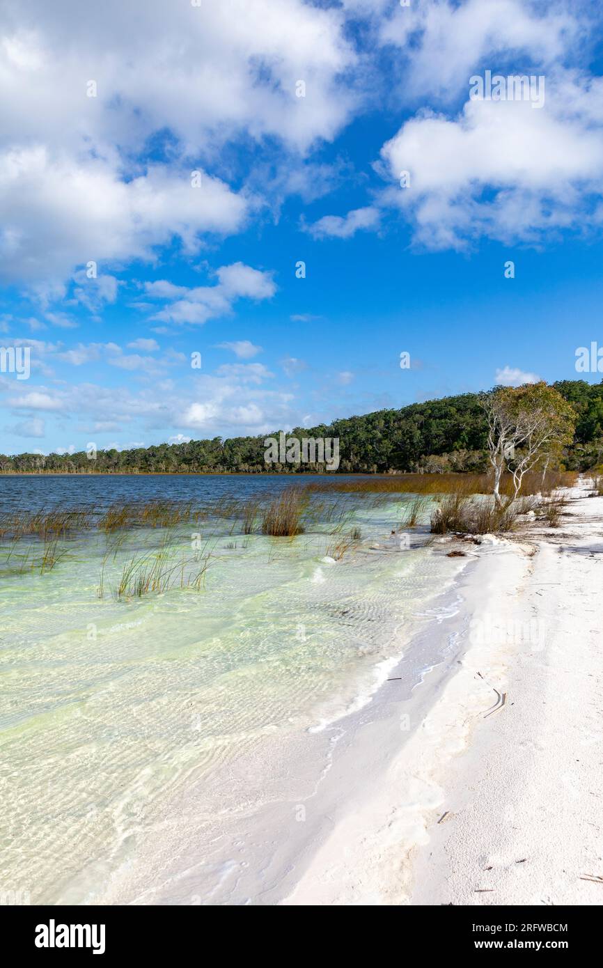 Lake Birrabeen perched lake Fraser Island K'gari blue sky winter day ...