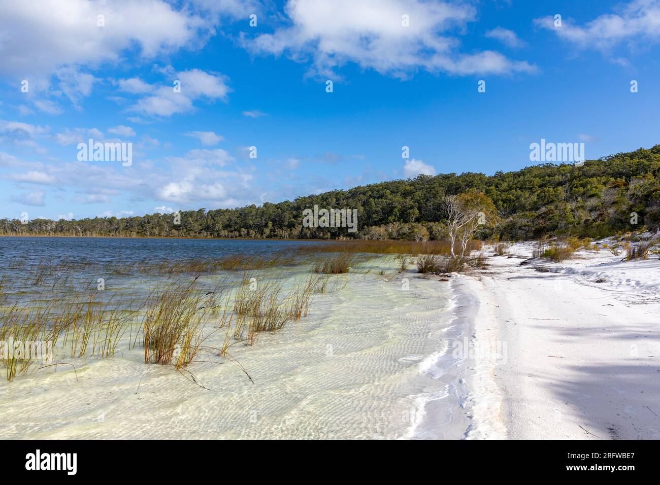 Lake Birrabeen perched lake Fraser Island K'gari blue sky winter day ...