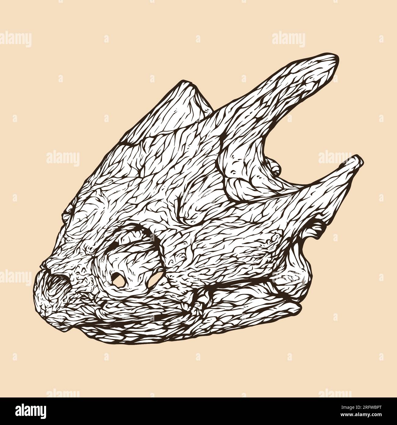 snapping turtle skull head vector illustration Stock Vector Image & Art ...