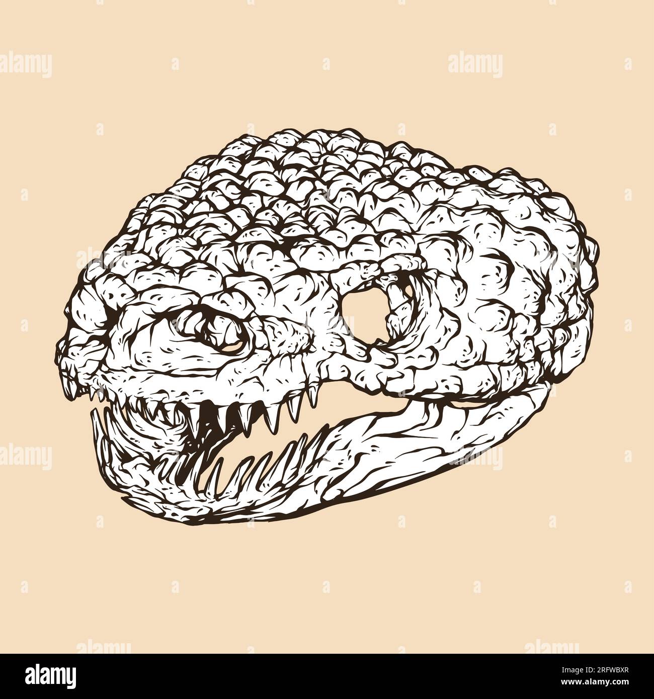 Gila monster illustration gila monster reptile Stock Vector Images - Alamy