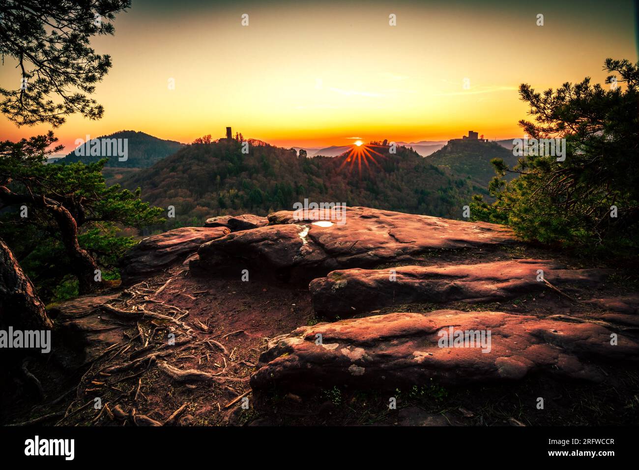 The great view of sandstone cliffs in the Palatinate Forest at sunrise ...