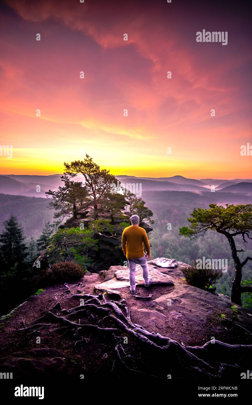 The great view of sandstone cliffs in the Palatinate Forest at sunrise ...