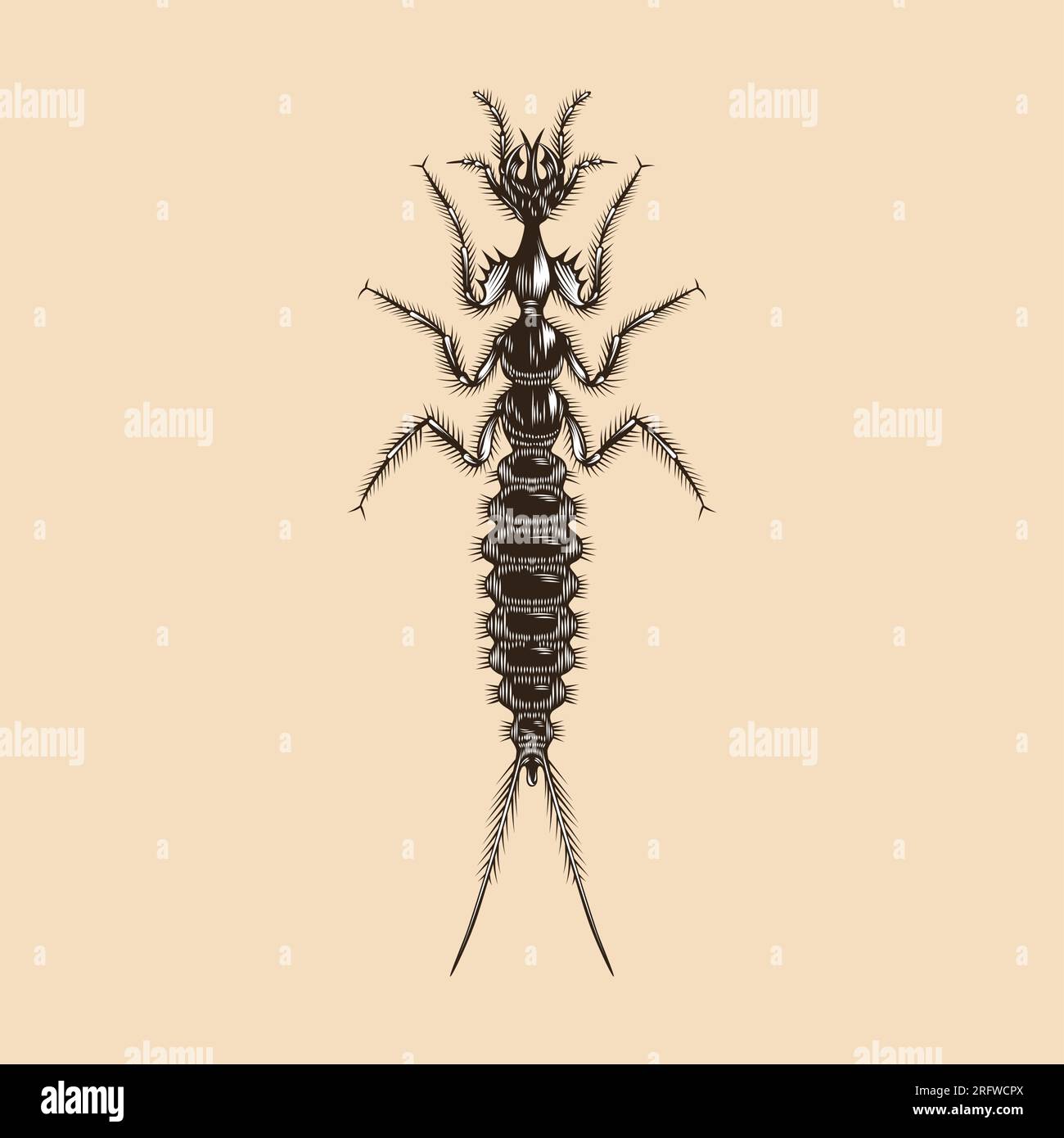 Dytiscus Marginalis larva illustration vector flat design Stock Vector ...