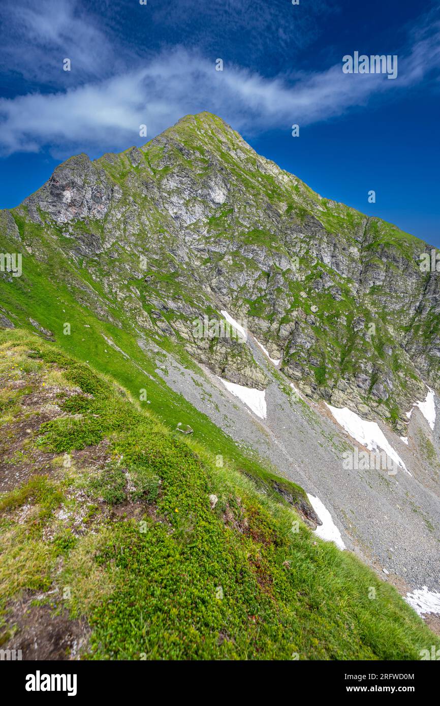 The Mount Capra. Summer landscape of the Fagaras Mountains, Romania. A ...