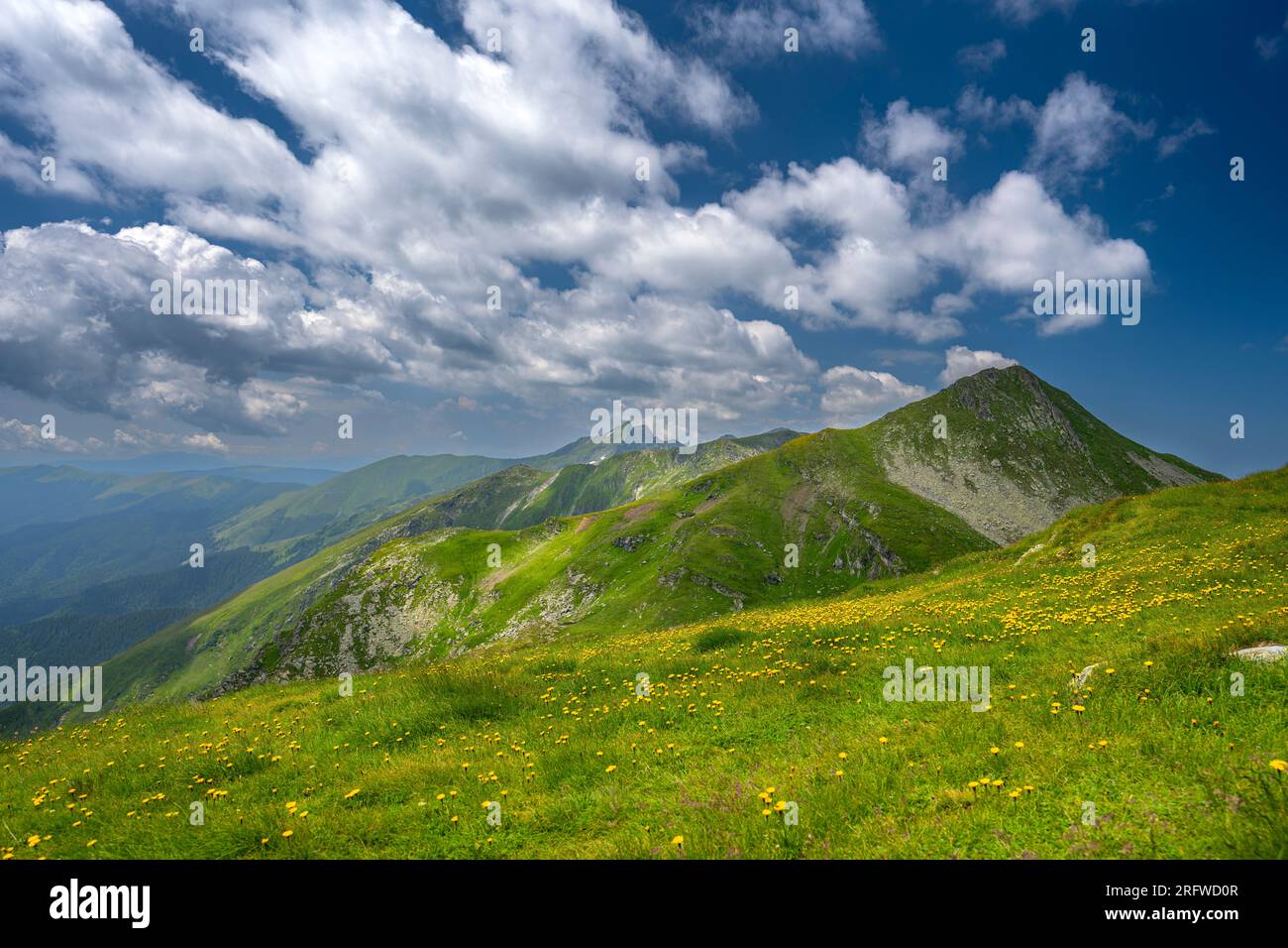 The Mount Iezerul Caprei. Summer landscape of the Fagaras Mountains ...