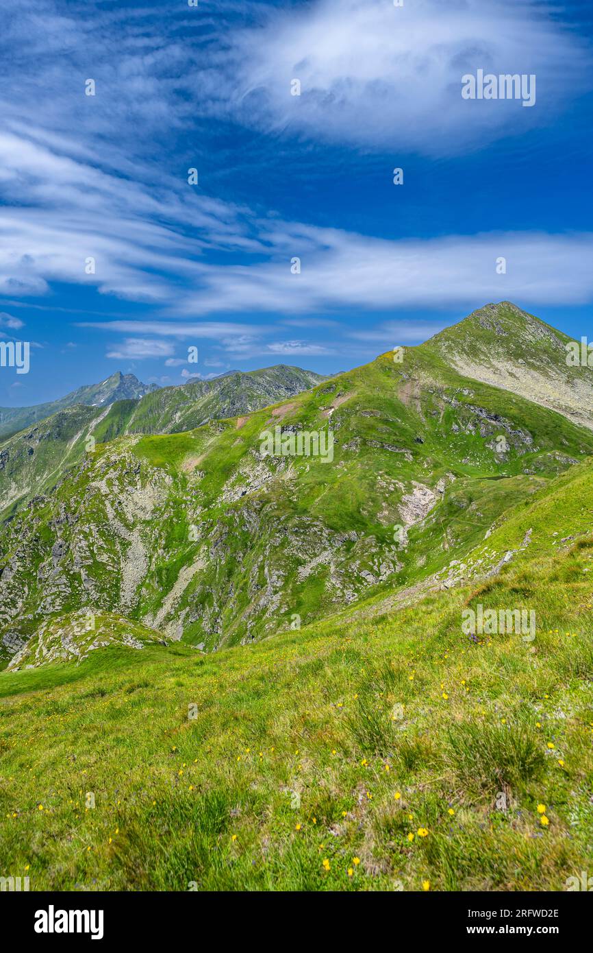 The Mount Iezerul Caprei. Summer landscape of the Fagaras Mountains ...
