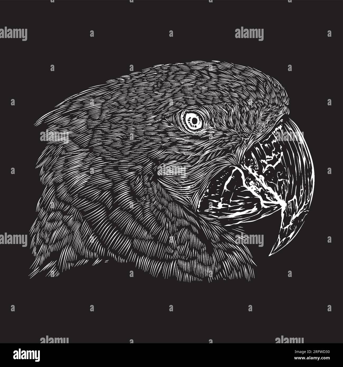 Illustration of macaw head sketch drawing grunge vector outline animal ...
