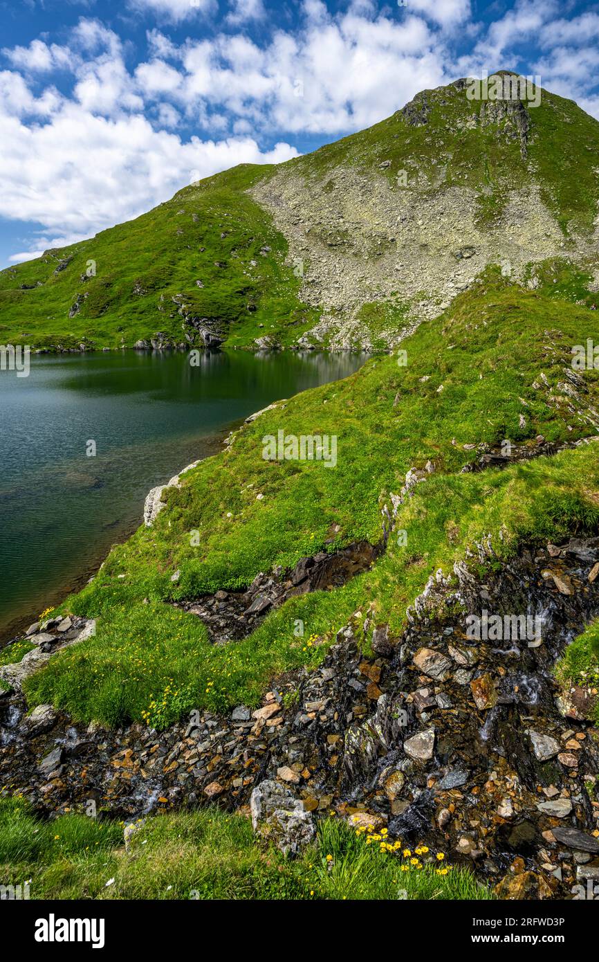 The Mount Iezerul Caprei. Summer landscape of the Fagaras Mountains ...